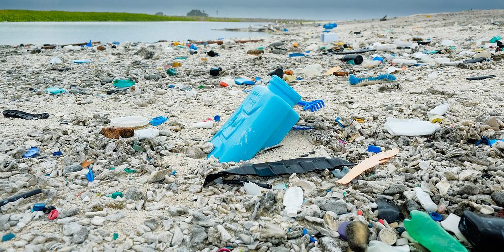 Talking Rubbish – A New Group is Launched! – Sustainable South Brent