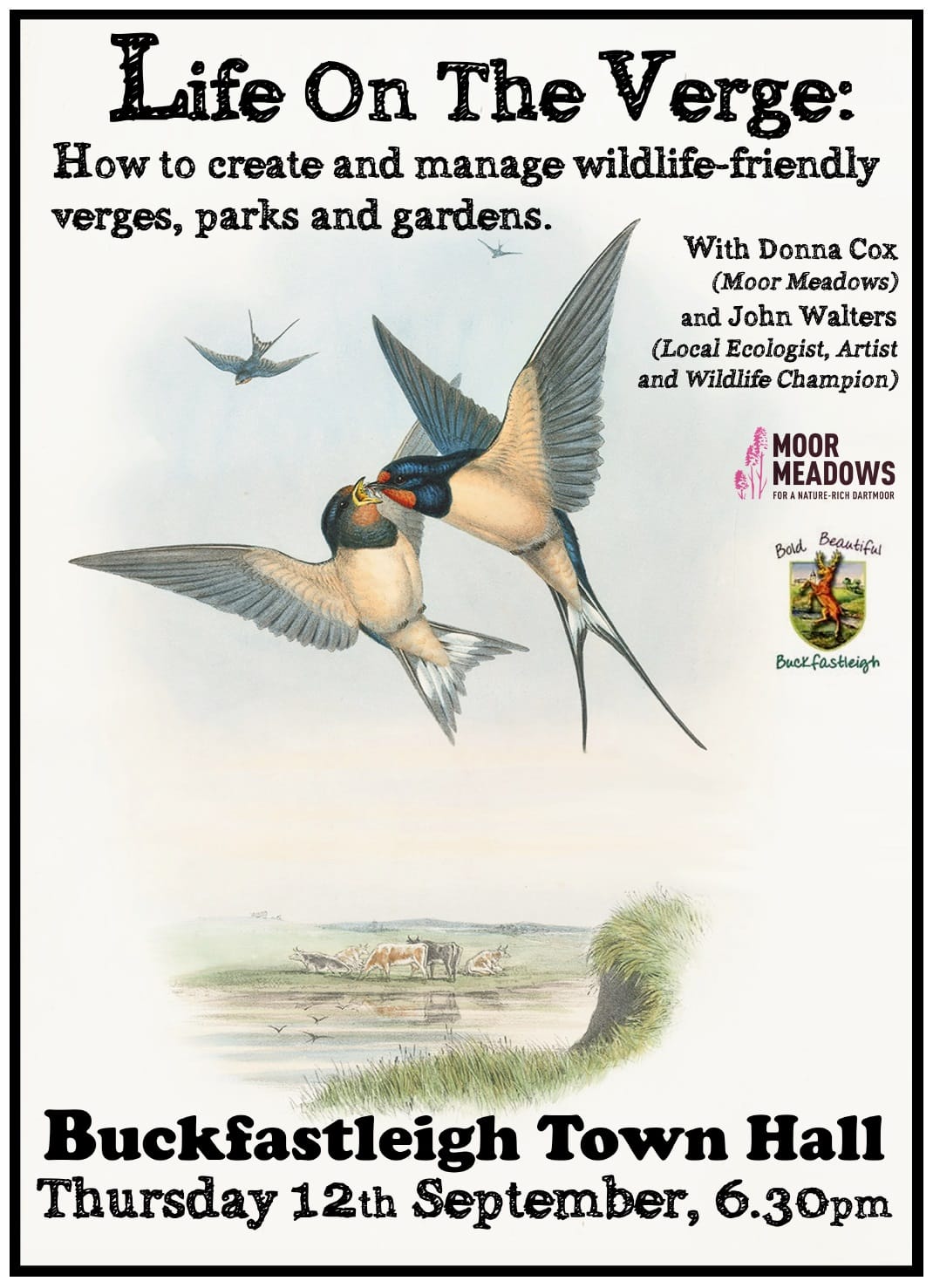 ‘Life on the Verge’ – how to create and manage wildlife-friendly verges ...